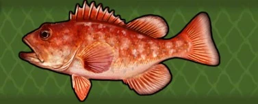 Rosefish | Fishing World Wiki | Fandom