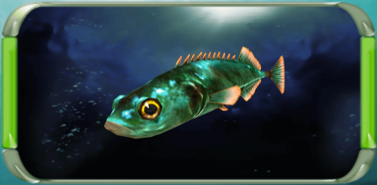 Omiyo | Fishing Fantasy: Buzzrod Wiki | Fandom