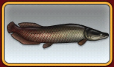 Amazon Fish List With Images | Fishing Paradise 3d Tour Guide Wikia ...