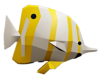 how to draw a butterfly fish step by step