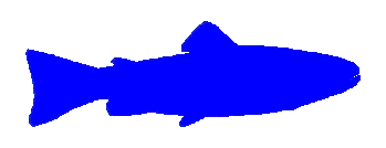 Trout | Fishing Simulator Wiki | Fandom