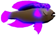 Obsidian Cavern | Fishing Simulator Wiki | Fandom