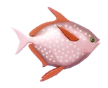 Special Fish | Fishing Simulator Wiki | Fandom