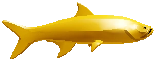 Atlantic Tarpon | Fishing Simulator Wiki | Fandom