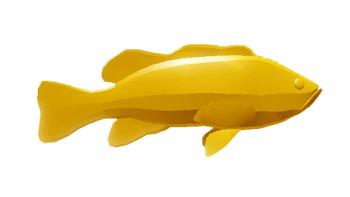 Rockfish | Fishing Simulator Wiki | Fandom