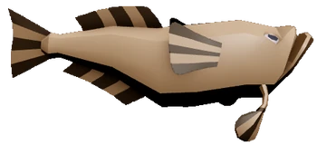 Northern Stargazer | Fishing Simulator Wiki | Fandom