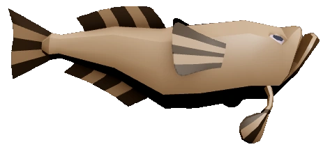 Northern Stargazer | Fishing Simulator Wiki | Fandom