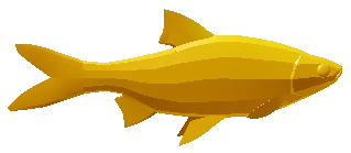 Redeye Bass | Fishing Simulator Wiki | Fandom