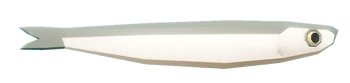 Anchovy | Fishing Simulator Wiki | Fandom