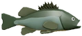 Weather Fish | Fishing Simulator Wiki | Fandom