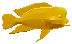 Frontosa | Fishing Simulator Wiki | Fandom