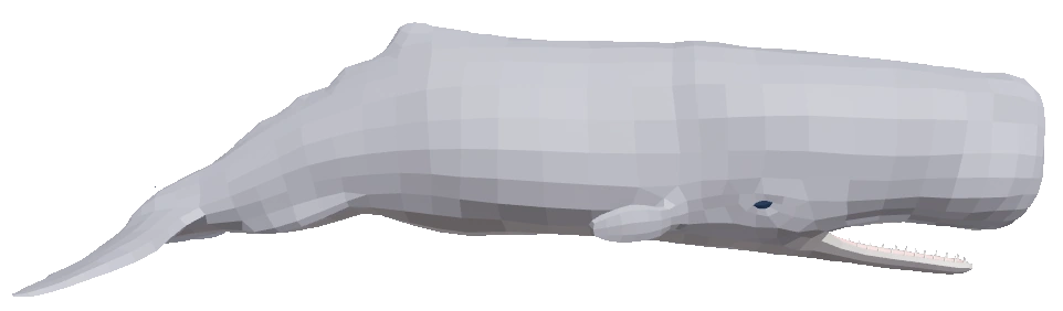 Moby Wood | Fishing Simulator Wiki | Fandom