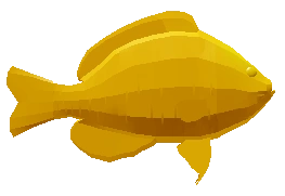 Longear Sunfish | Fishing Simulator Wiki | Fandom