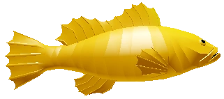 Nassau Grouper | Fishing Simulator Wiki | Fandom
