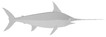 Shadow Swordfish | Fishing Simulator Wiki | Fandom