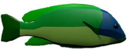 Napoleonfish | Fishing Simulator Wiki | Fandom