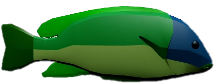 Napoleonfish | Fishing Simulator Wiki | Fandom