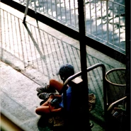 Shinji Sato | Fishmans Wiki | Fandom