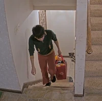 Shinji | Fishtanklive Wiki | Fandom