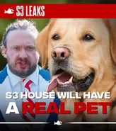 Season 3 | Fishtanklive Wiki | Fandom