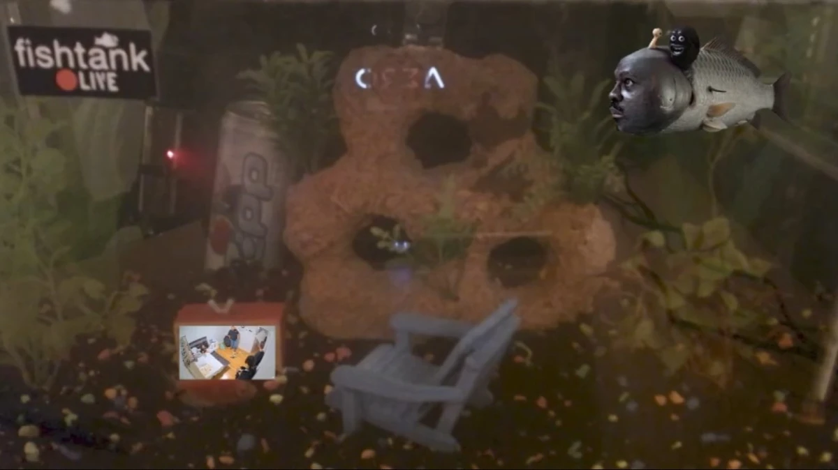 The Fishtank | Fishtanklive Wiki | Fandom