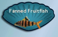 Fanned Fruitfish | Fish Tycoon Wiki | Fandom