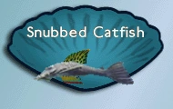 Snubbed Catfish | Fish Tycoon Wiki | Fandom