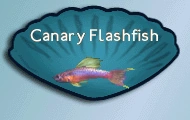 Flashfish | Fish Tycoon Wiki | Fandom