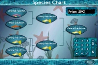 Canary Fire-Arrow | Fish Tycoon Wiki | Fandom