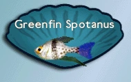 Greenfin Spotanus | Fish Tycoon Wiki | Fandom