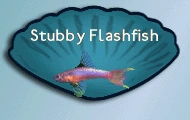 Stubby Flashfish | Fish Tycoon Wiki | Fandom