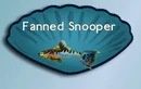 Snooper | Fish Tycoon Wiki | Fandom