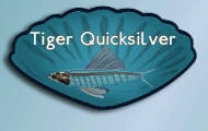 Tiger Quicksilver | Fish Tycoon Wiki | Fandom