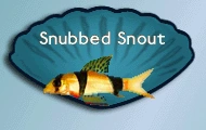 Snubbed Snout | Fish Tycoon Wiki | Fandom