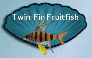 Twin-Fin Fruitfish | Fish Tycoon Wiki | Fandom