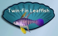 Twin-Fin Leaffish | Fish Tycoon Wiki | Fandom
