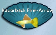 Razorback Fire-Arrow | Fish Tycoon Wiki | Fandom