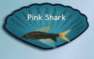 Pink Shark | Fish Tycoon Wiki | Fandom