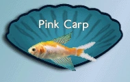 Pink Carp | Fish Tycoon Wiki | Fandom
