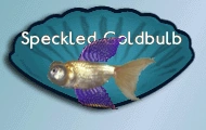 Speckled Goldbulb | Fish Tycoon Wiki | Fandom