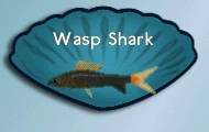 Wasp Shark | Fish Tycoon Wiki | Fandom