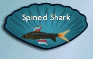 Spined Shark | Fish Tycoon Wiki | Fandom