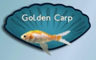 Golden Carp | Fish Tycoon Wiki | Fandom