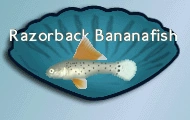 Razorback Bananafish | Fish Tycoon Wiki | Fandom