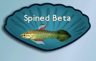 Spined Beta | Fish Tycoon Wiki | Fandom