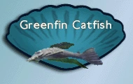 Greenfin Catfish | Fish Tycoon Wiki | Fandom