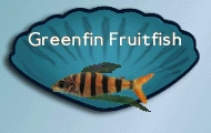 Greenfin Fruitfish | Fish Tycoon Wiki | Fandom