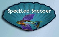Speckled Snooper | Fish Tycoon Wiki | Fandom