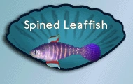 Spined Leaffish | Fish Tycoon Wiki | Fandom