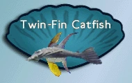 Twin-Fin Catfish | Fish Tycoon Wiki | Fandom
